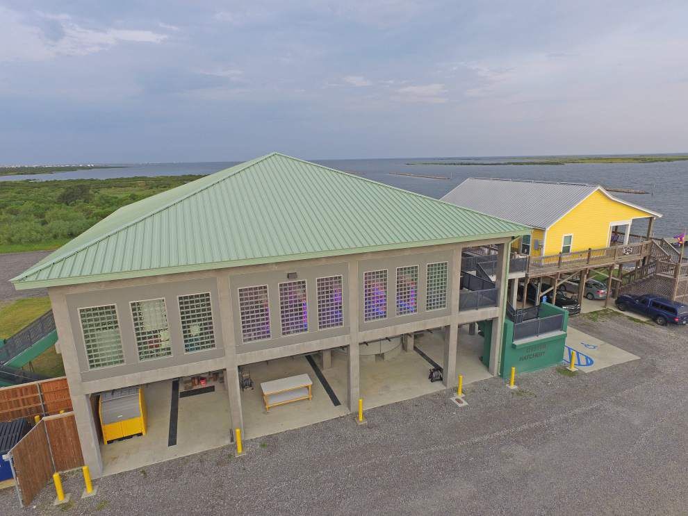 Hurricane Resistant Windows Design Features