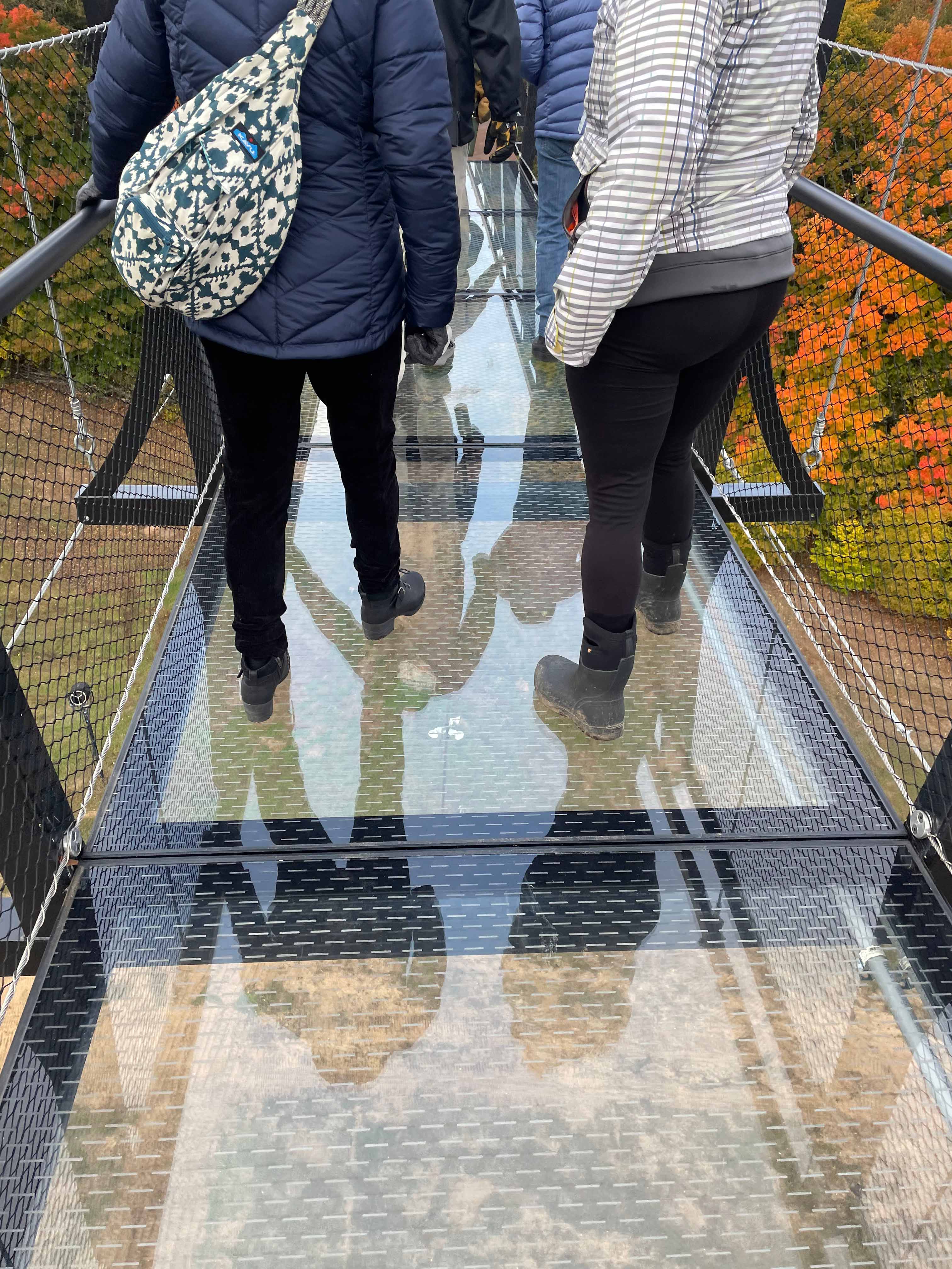Boyne Mountain SkyBridge | Glass Bridge In Michigan Ny GBA
