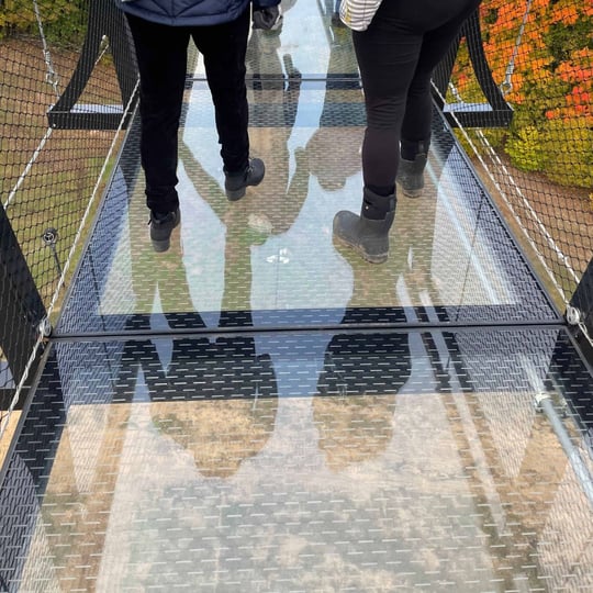 Architectural Glass Floor, Glass Block & Sidewalk Vault Light Pavers